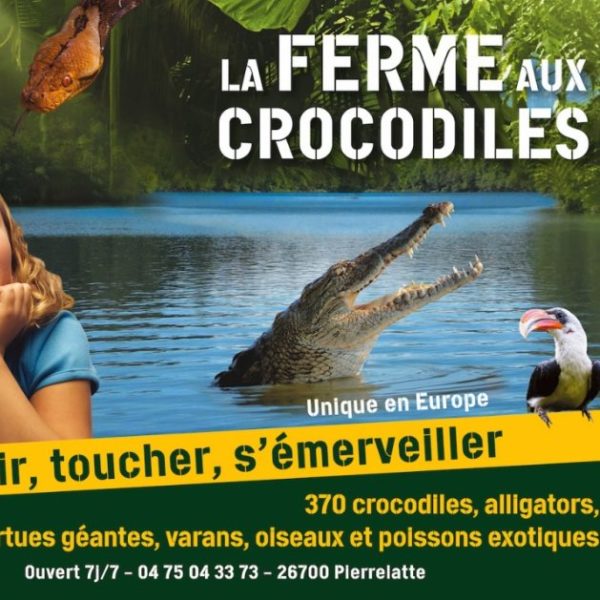 LA FERME AUX CROCODILES – ADULTE (26) - ProxiCE